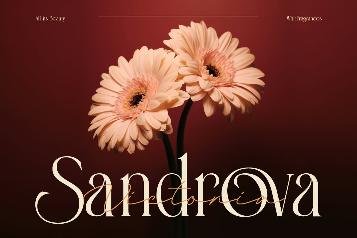 Aqualim Signature - Đồ Hoạ Vip