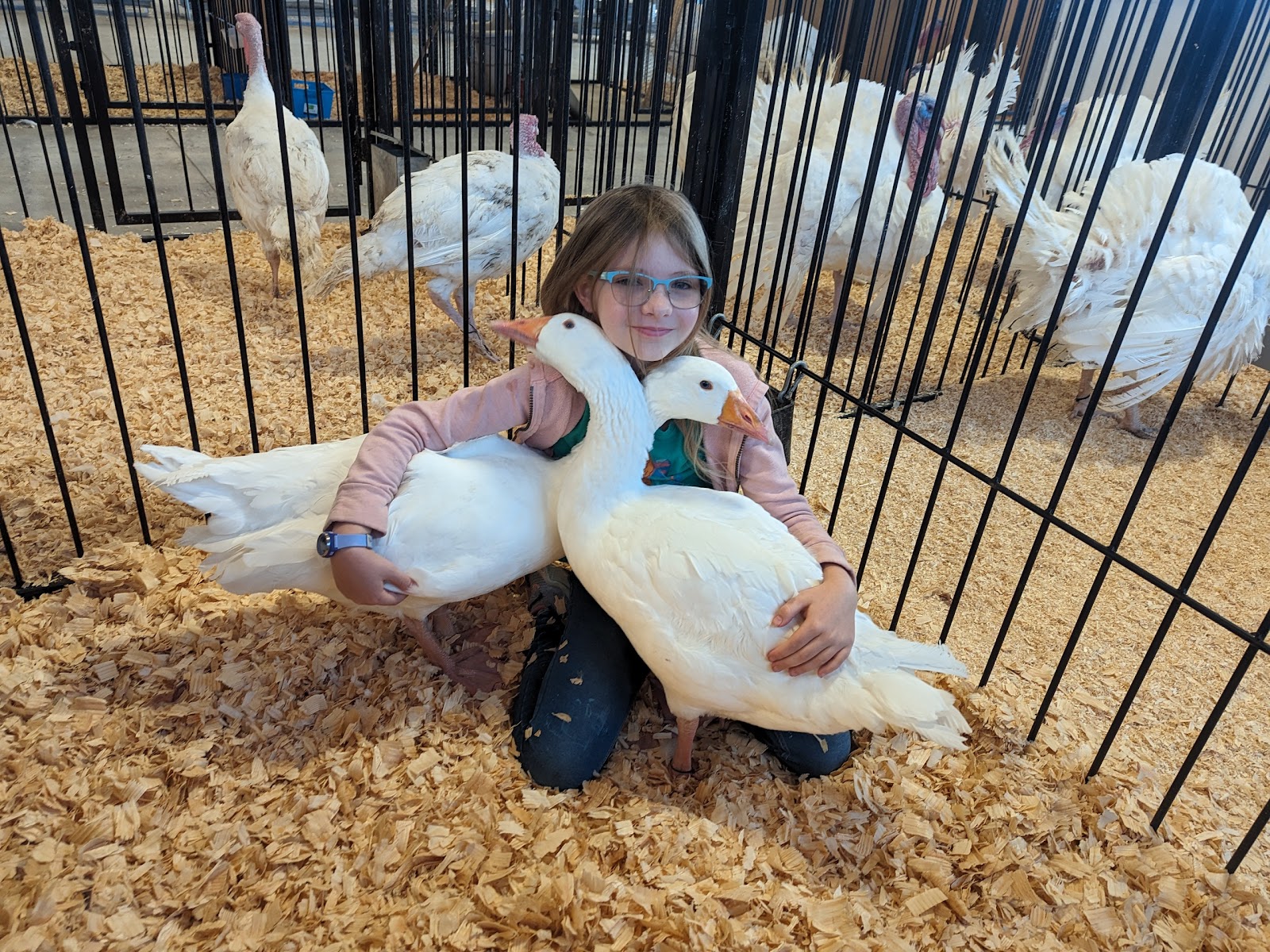 Duck, Goose & Chicken Hatchery | Metzer Farms, California