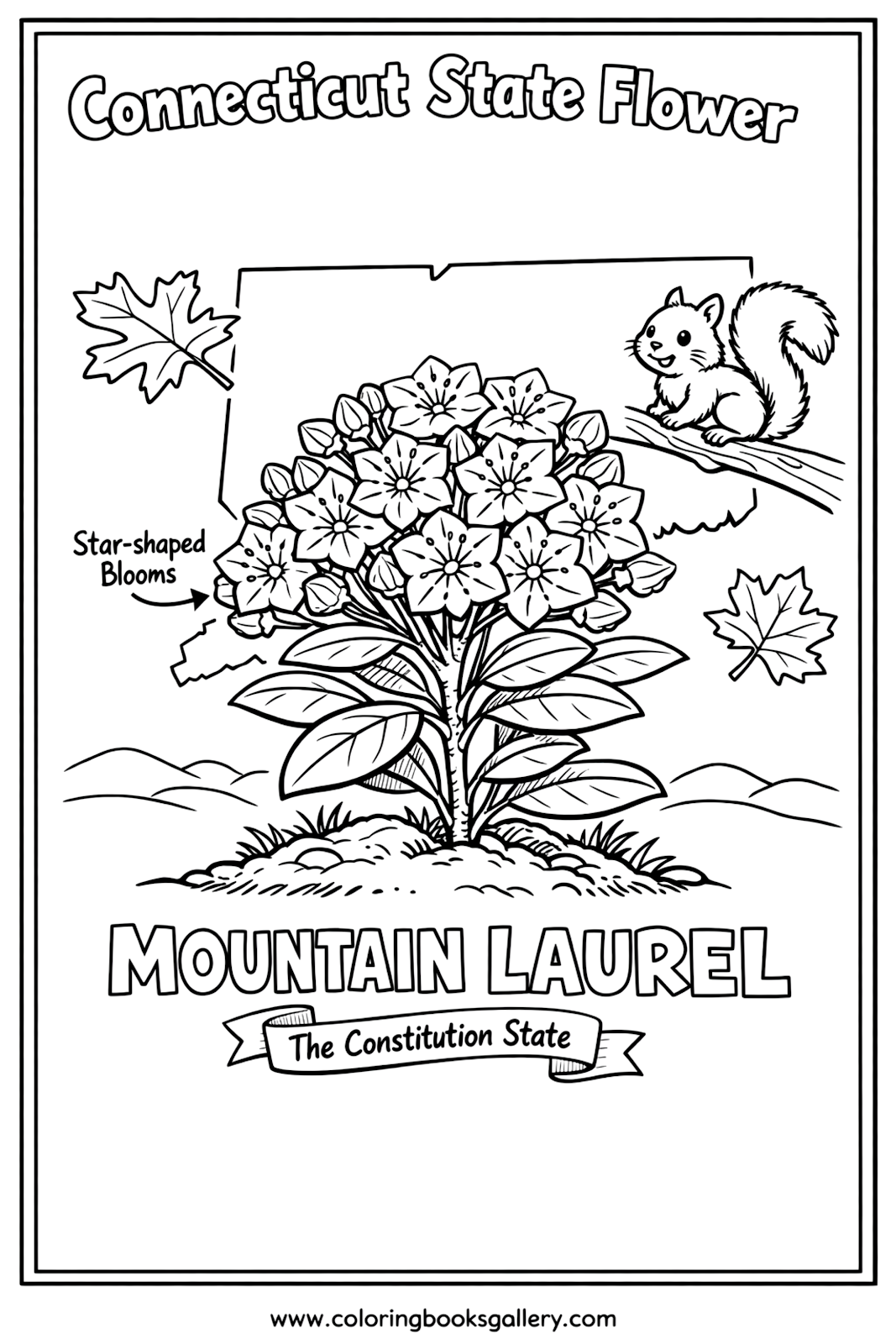 Connecticut State Flower – Simple Educational Printable Coloring Page ...