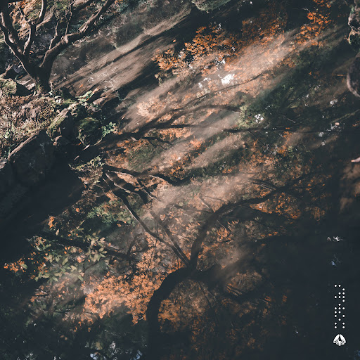 Far away from the noize (Remaster) - YouTube Music