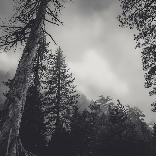 Creaky Gate - YouTube Music