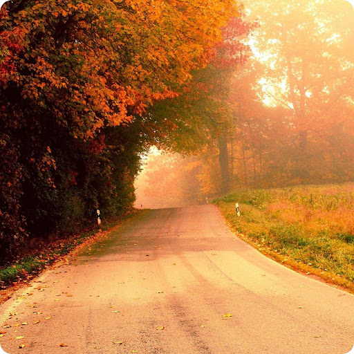 Enchanted Echo - YouTube Music