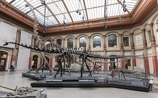 Permanent Exhibition "Evolution in Action" — Google Arts & Culture