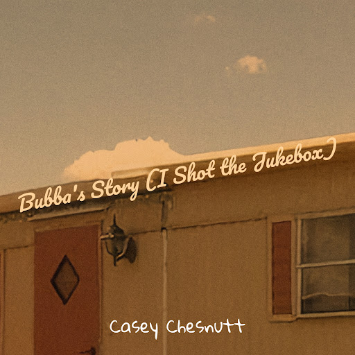 Bubba's Story (I Shot the Jukebox) - YouTube Music