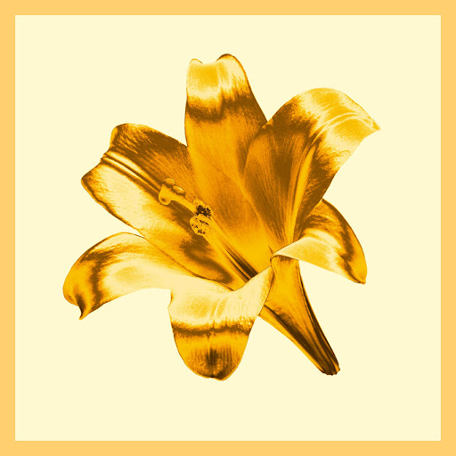 Healing Incantation (From "Tangled") - YouTube Music