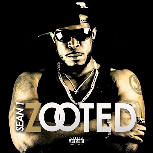 Zooted - YouTube Music
