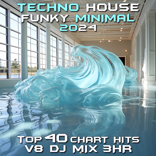 Techno House Funky Minimal 2024 Top 40 Chart Hits, Vol. 8 (DJ Mix 3Hr ...