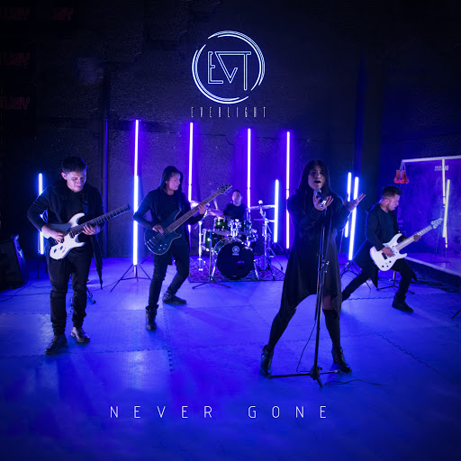 Never Gone - YouTube Music