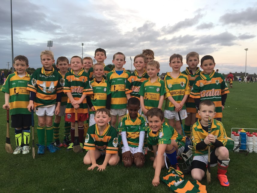 Burgess GAA Notes 31st August 2015 | Burgessgaa