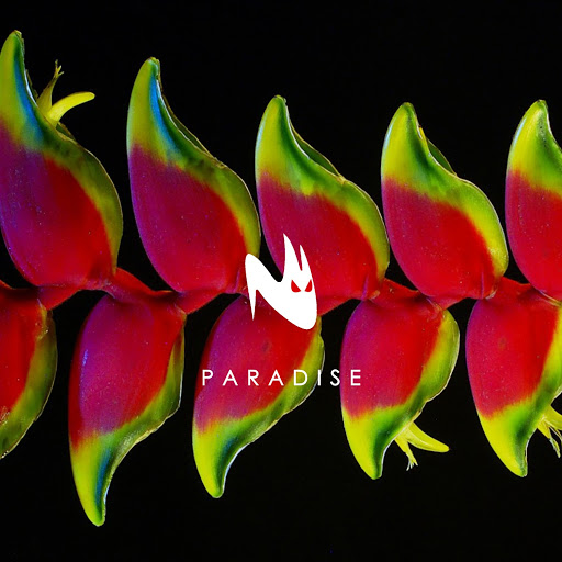 Medicinal (Smooth Reggae Beat Mix) - YouTube Music