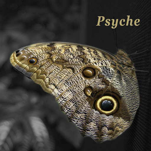 Psyche - YouTube Music