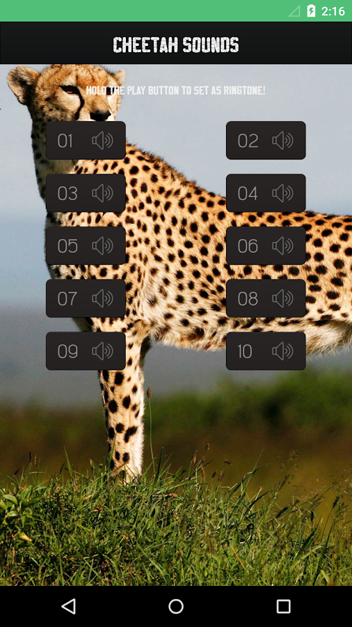 Cheetah Sounds - Android Apps on Google Play
