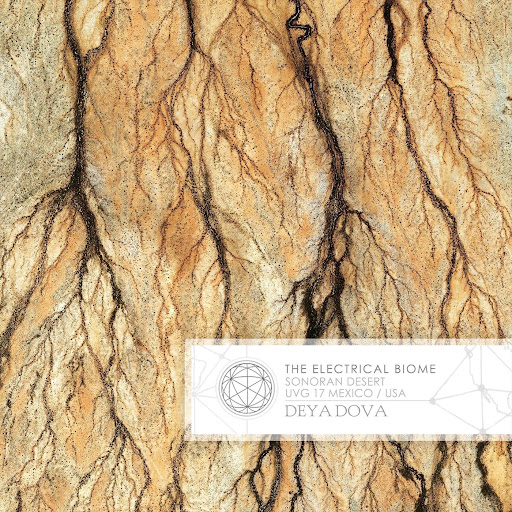 The Electrical Biome - YouTube Music