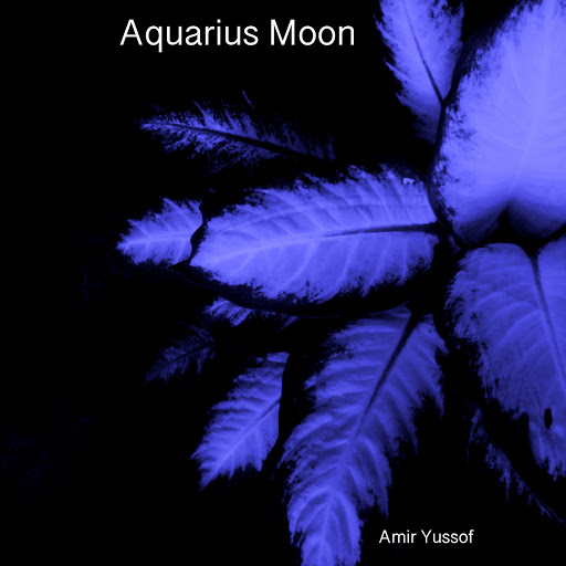 Aquarius Moon - YouTube Music