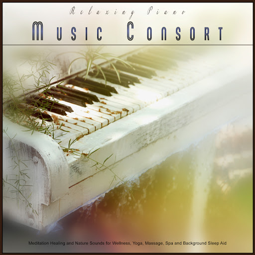 Soft Music and Zen Garden - YouTube Music