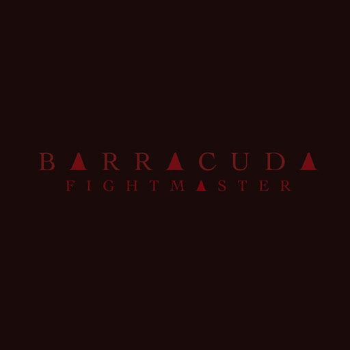 Barracuda - YouTube Music