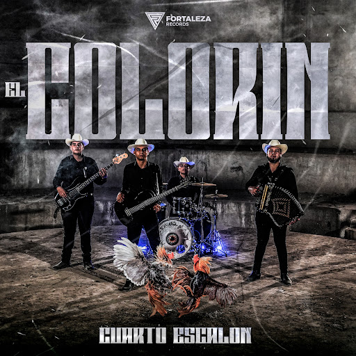 El Colorin (En Vivo) - YouTube Music