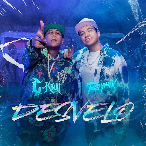 Desvelo