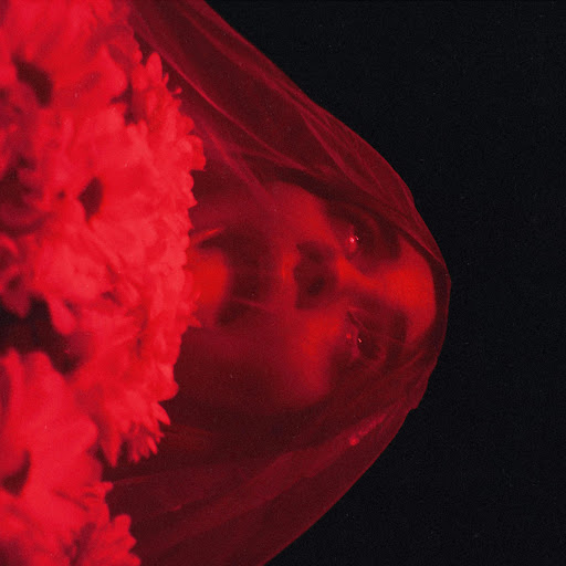 Descarada - YouTube Music