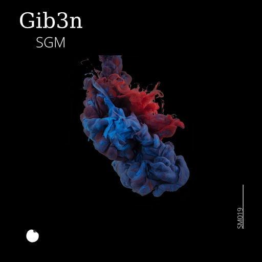 SGM (Original Mix) - YouTube Music