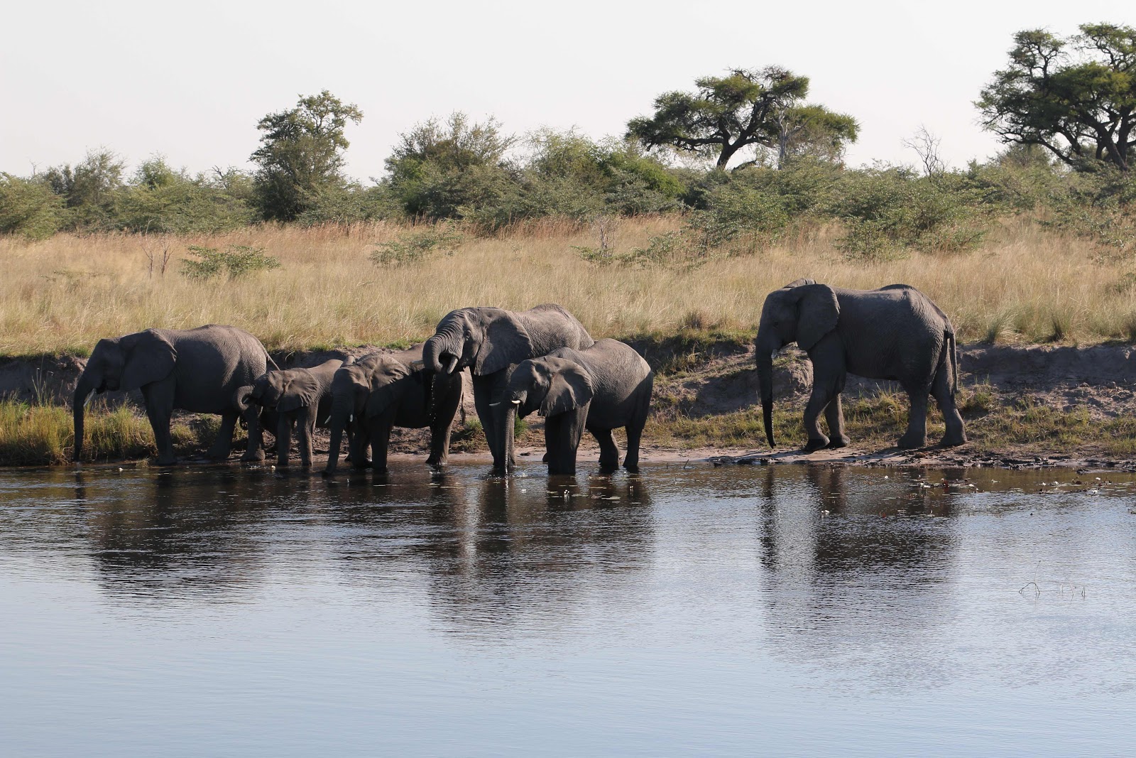 Namibia + Botswana Reise 2019: Victoria Falls nach Kongola im östlichen ...