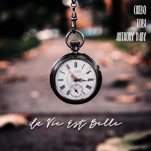 La vie est belle (feat. Tobi & Anthony Daby) - YouTube Music