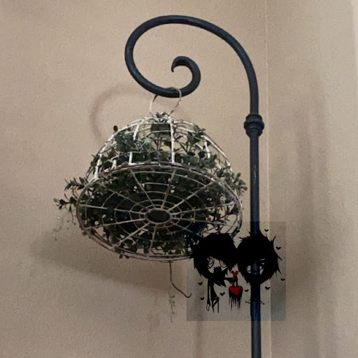 Flesh - YouTube Music