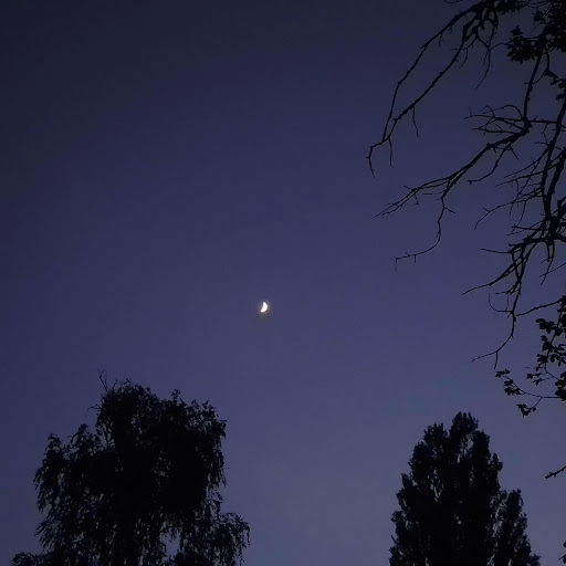 let me rest. - YouTube Music