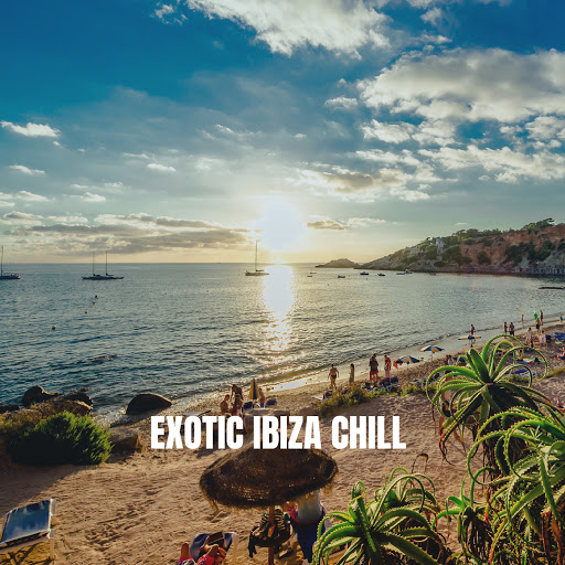 Só Danço - YouTube Music