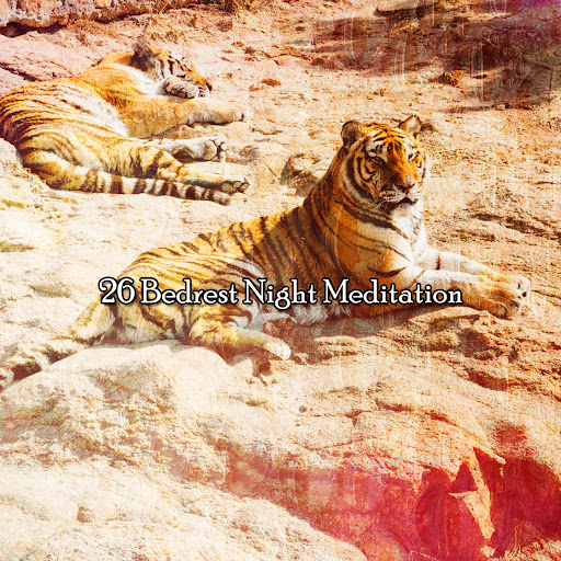 Sleepy Showers - YouTube Music