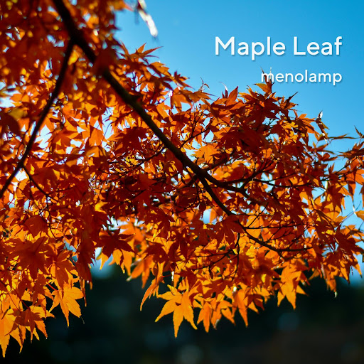 Maple Leaf - YouTube Music