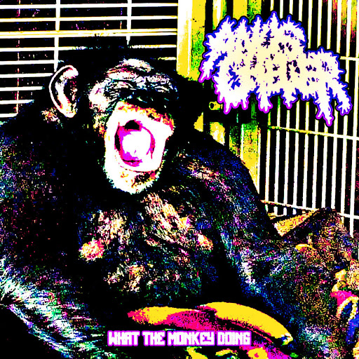 WHAT THE MONKEY DOING - YouTube Music