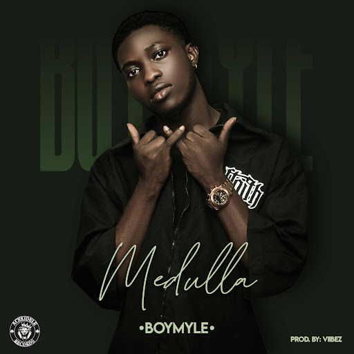 Medulla - YouTube Music