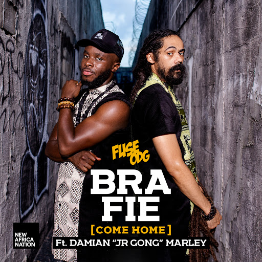 Bra Fie (feat. Damian "JR GONG" Marley) - YouTube Music