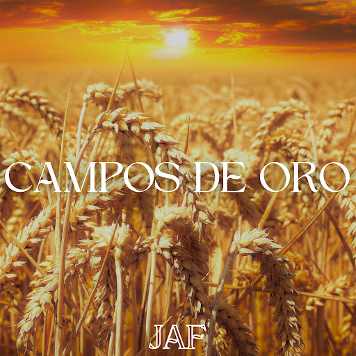 Campos de Oro - YouTube Music