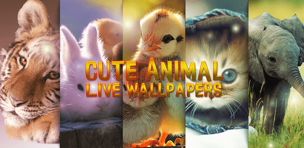 Cute Animal Live Wallpapers - Latest version 1.0.3 for Android App ...