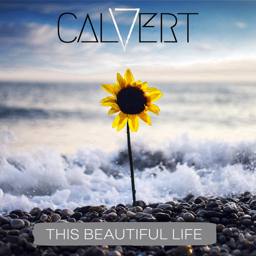This Beautiful Life - YouTube Music