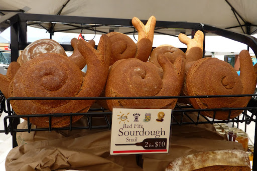 Red fife wheat — Google Arts & Culture