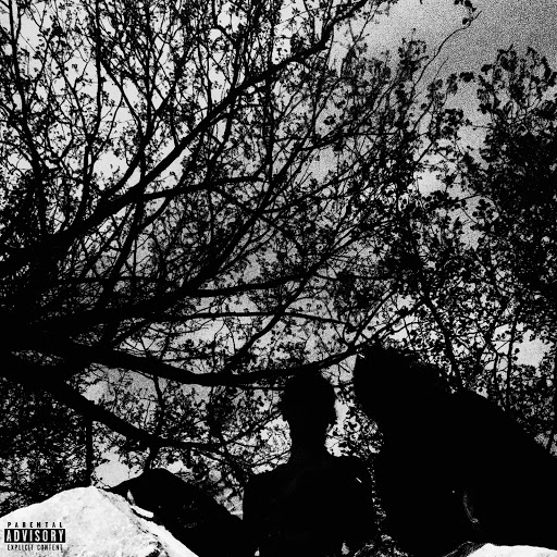 Gully - YouTube Music