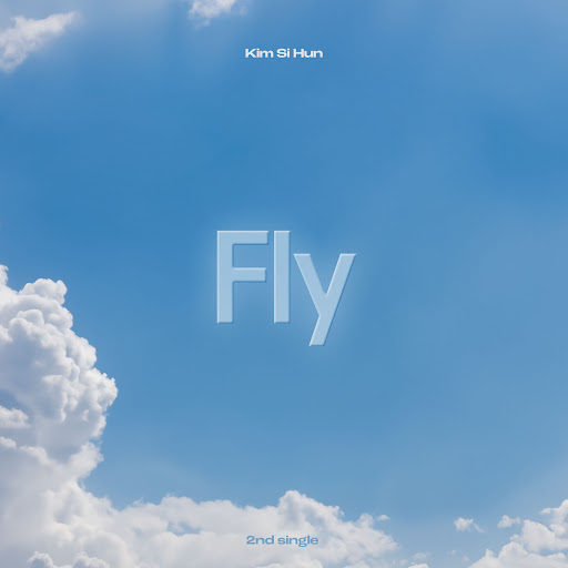 Fly (Fly) - YouTube Music