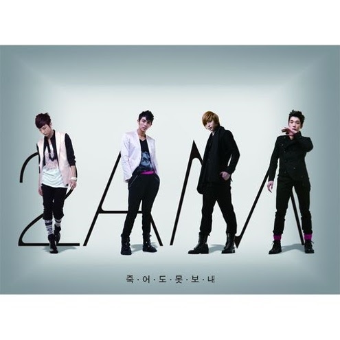 2000s Korean Pop Music History - THE YEAR OF 2010 — Google Arts & Culture