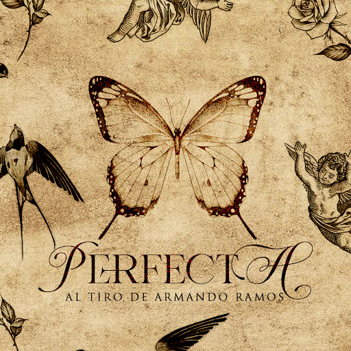 Perfecta