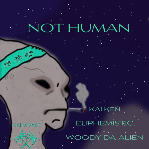 Not Human - YouTube Music