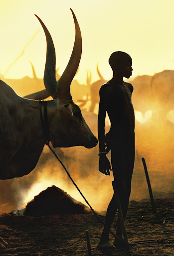 "Dinka: Legendary Cattle Keepers of Sudan" — Google Arts & Culture
