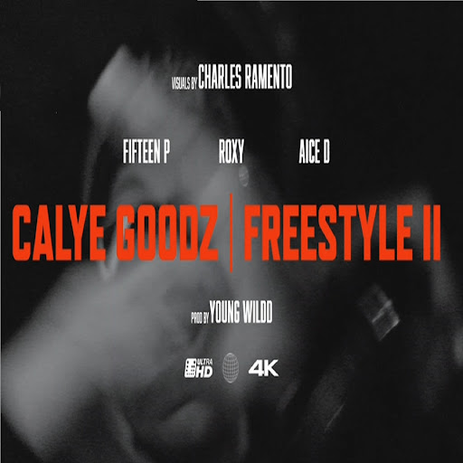 FREESTYLE II (feat. FIFTEEN P, ROXY & AICE D) - YouTube Music
