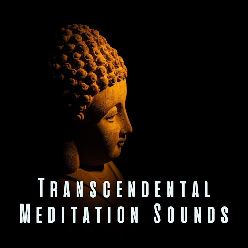 Calming Meditation Ambience - YouTube Music