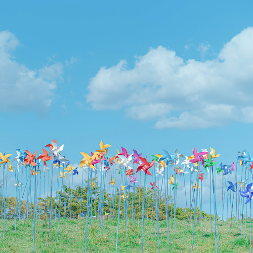 Drizzly morning - YouTube Music