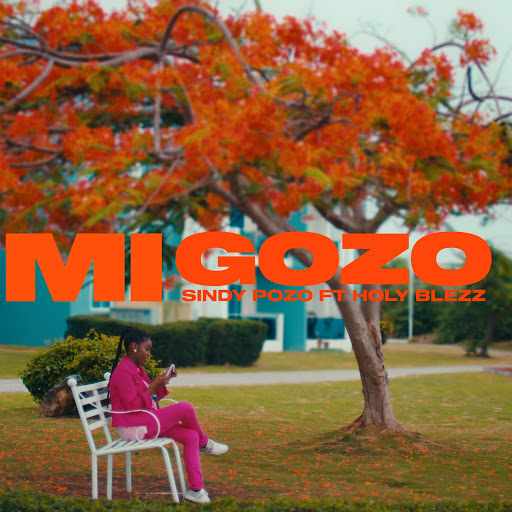 Mi Gozo (feat. Holy Blezz) - YouTube Music