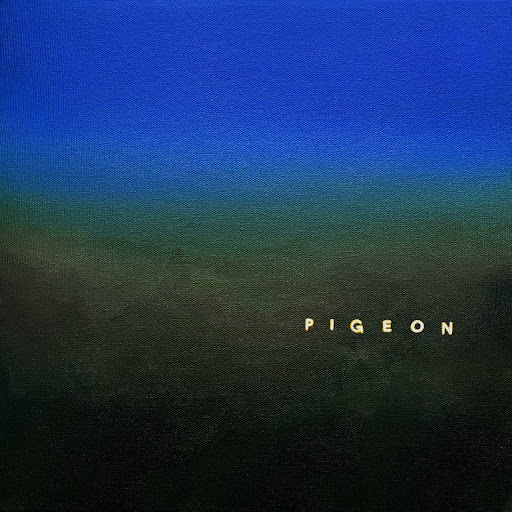 Pigeon - YouTube Music