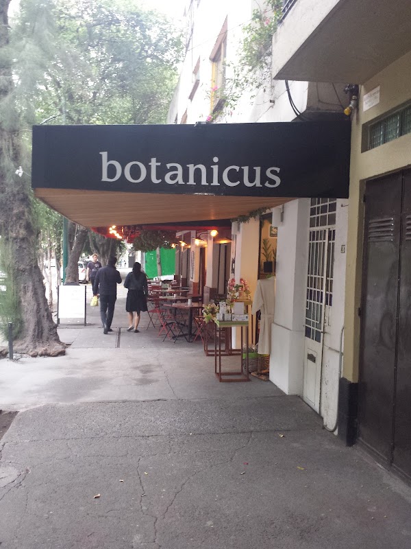 Botanicus, Av. Vicente Suárez 41, Condesa, 06140 Ciudad de México, CDMX ...